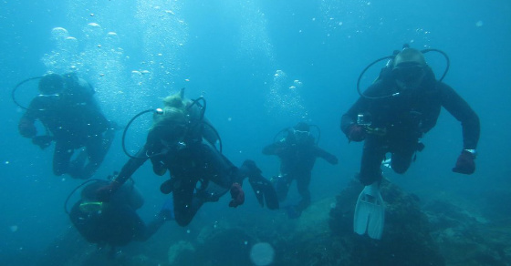 Scuba Diving Day Trips | Galapagos.